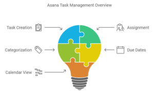 Asana project management | The Ultimate Guide to Using Asana