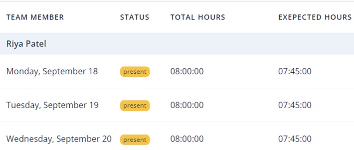 Time Tracking Software for Remote Employees | Activity Monitoring